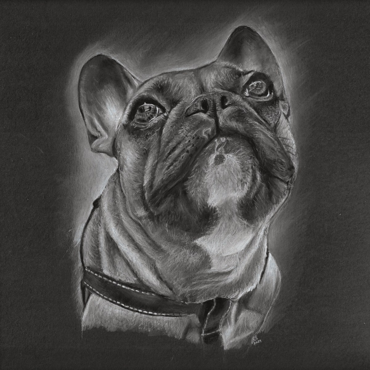 Niko – Pet Portraits Toronto