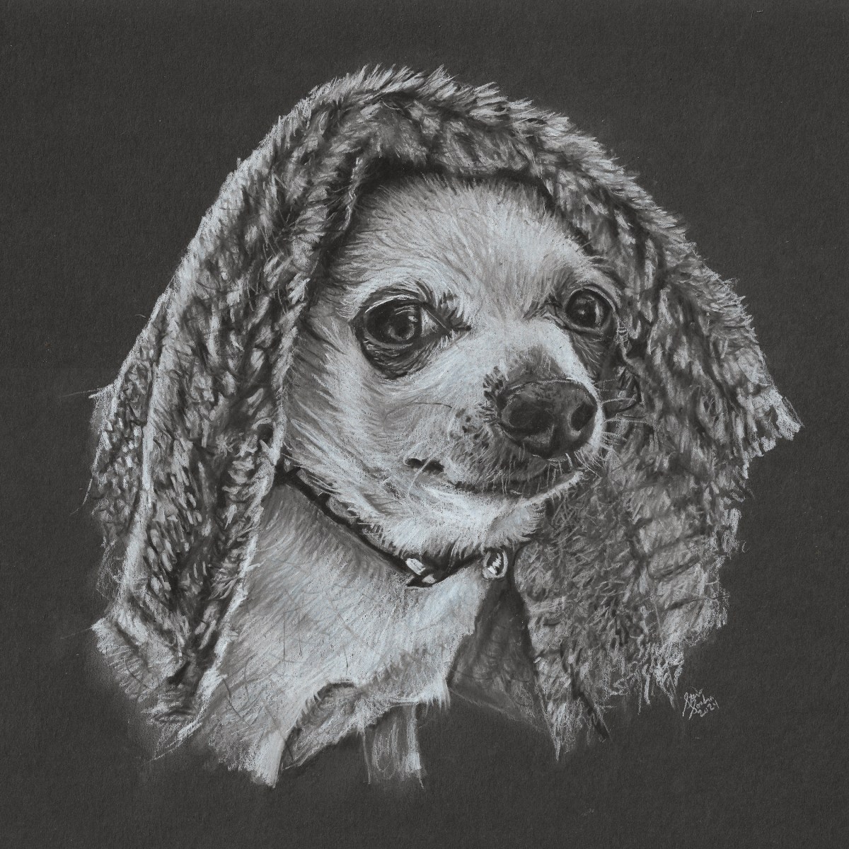 Dumpy – Pet Portraits Toronto